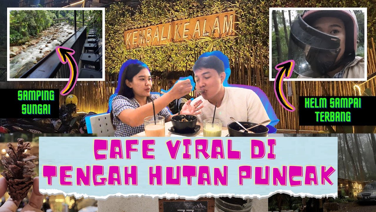CAFE VIRAL BUKA 24 JAM DI TENGAH HUTAN PINUS | KEMBALI KE ALAM PUNCAK ...
