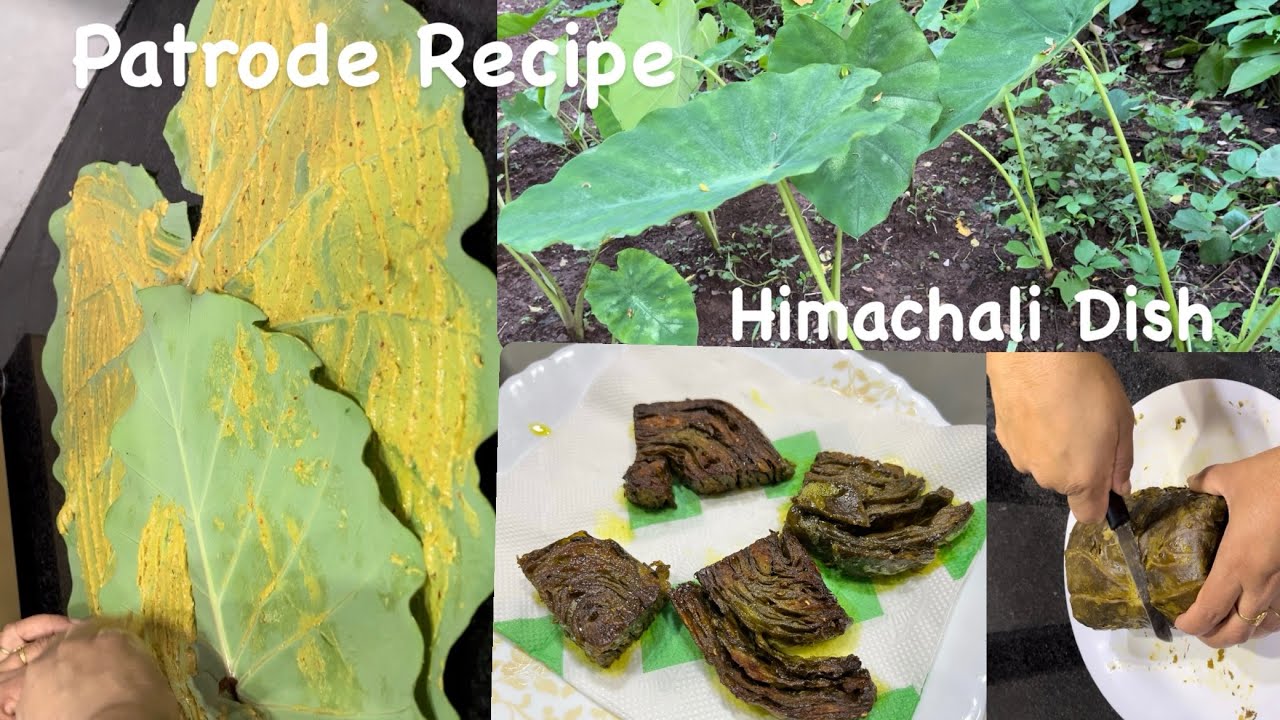 Himachali Patrode | Arbi Leaves Recipe | NeetusKitchen - YouTube