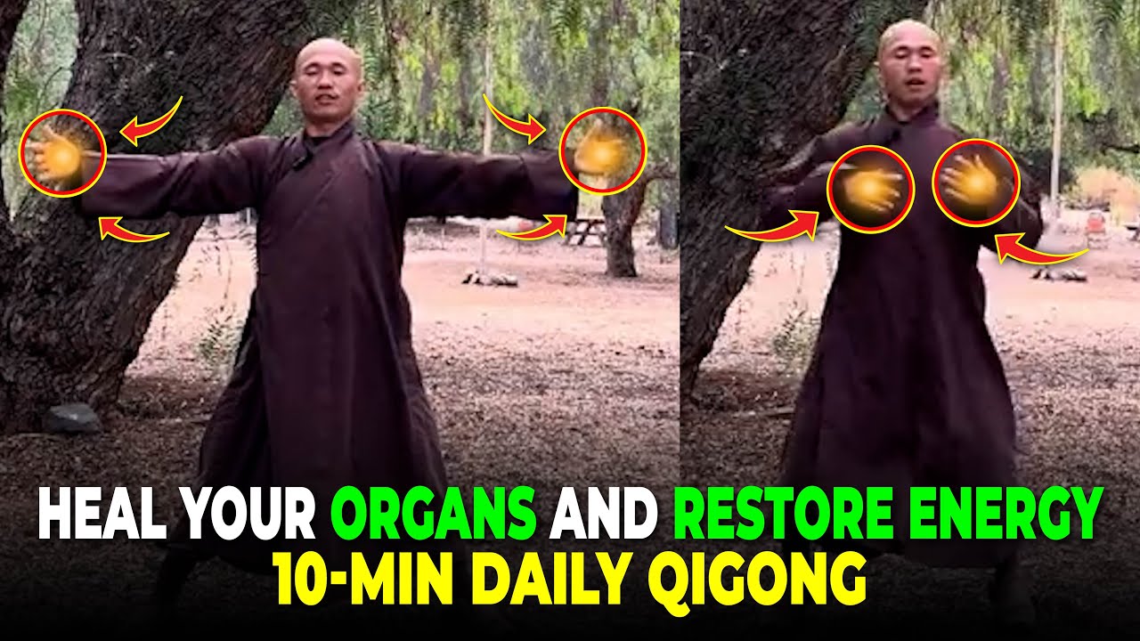 Daily Qigong Practice to Nourish Your Organs and Increase Vitality ...