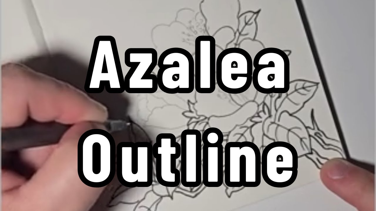 How to Draw Azaleas – Easy Step by Step Flower Drawing Tutorial - YouTube