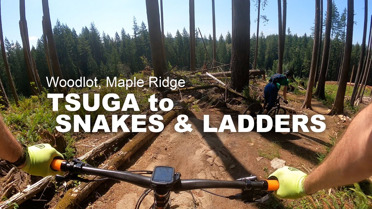 Woodlot: Tsuga to Snakes and Ladders // Maple Ridge BC - YouTube
