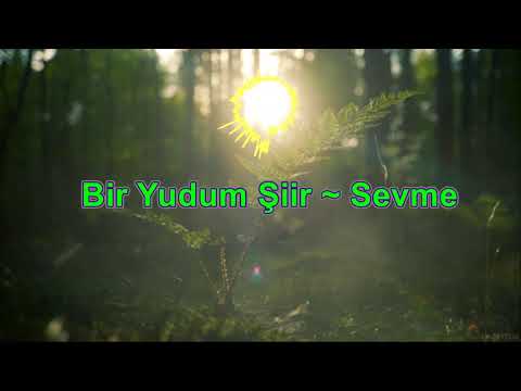 Bir Yudum Şiir ~ Sevme