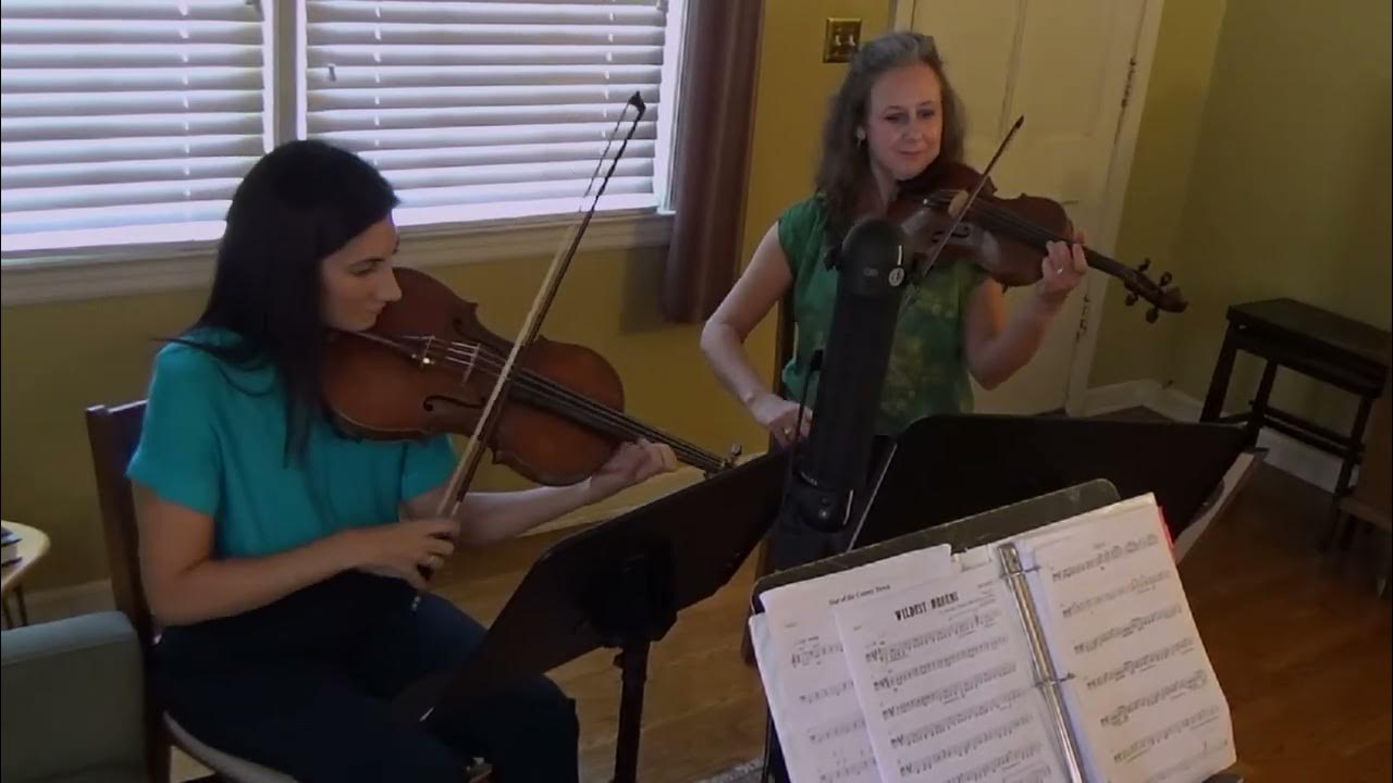 Jet Set Strings "Wildest Dreams" - YouTube