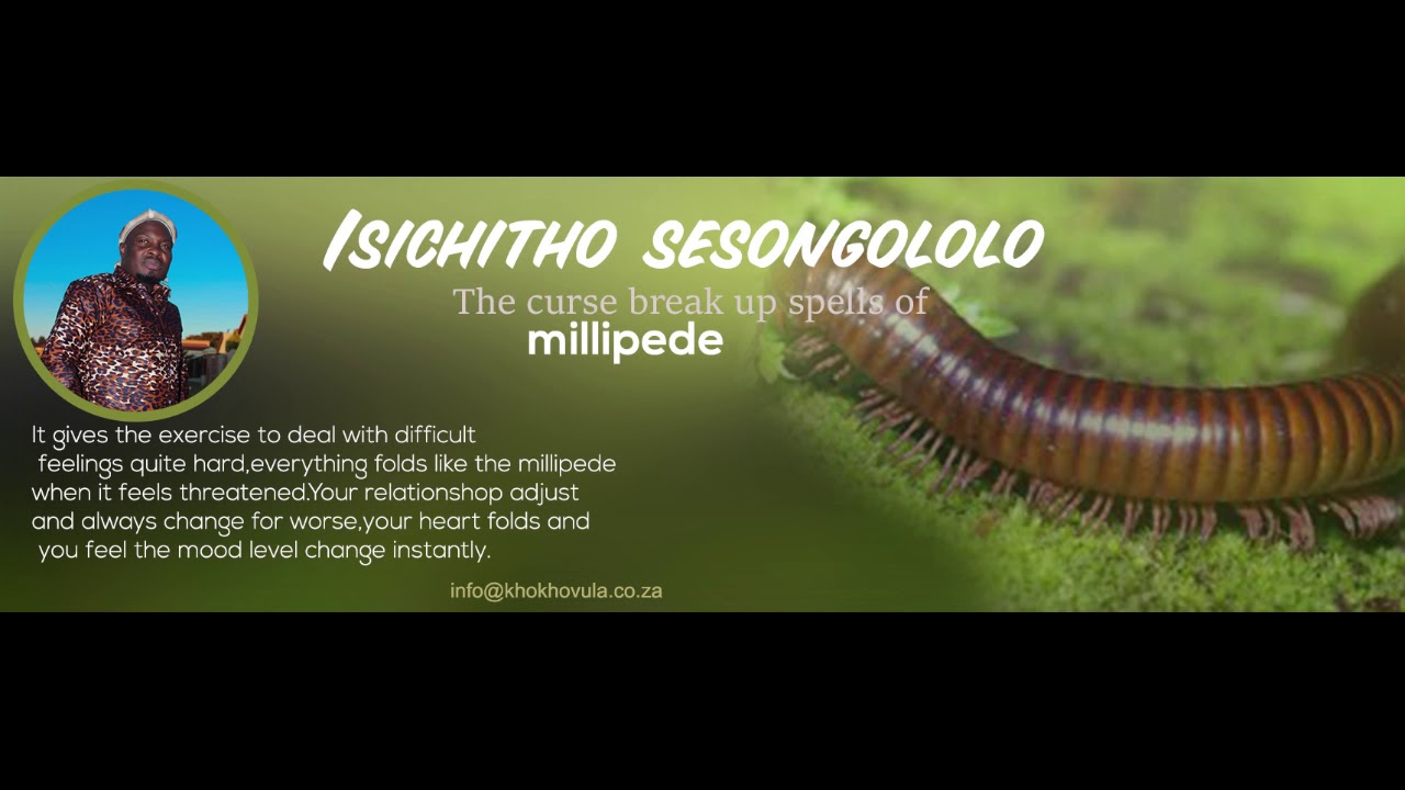 isichito sesongololo - YouTube