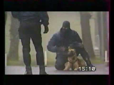 ΑΣΤΥΝΟΜΙΚΟΙ ΣΚΥΛΟΙ.WMV - YouTube