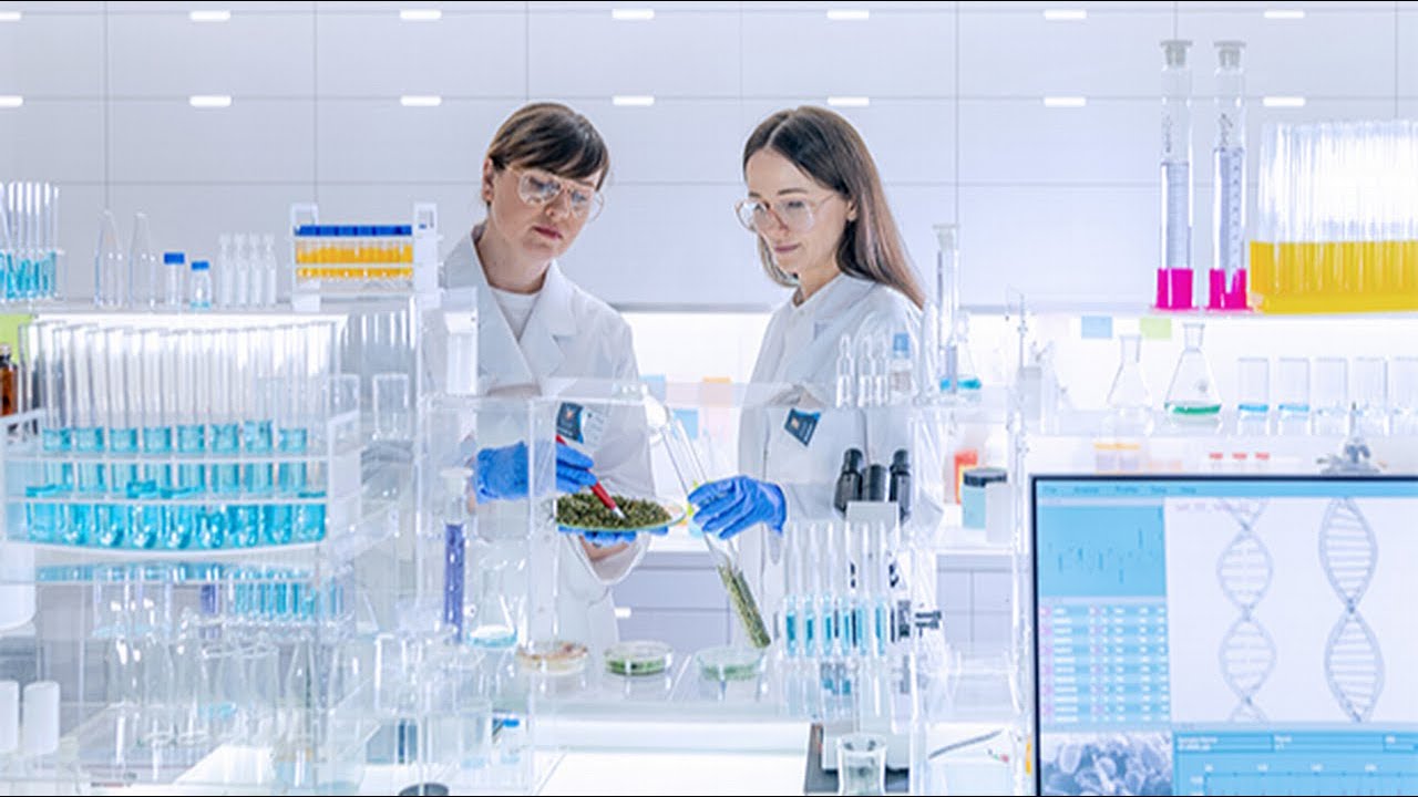Scientist to CEO: Turning Life Science Innovations Into Startup Success ...