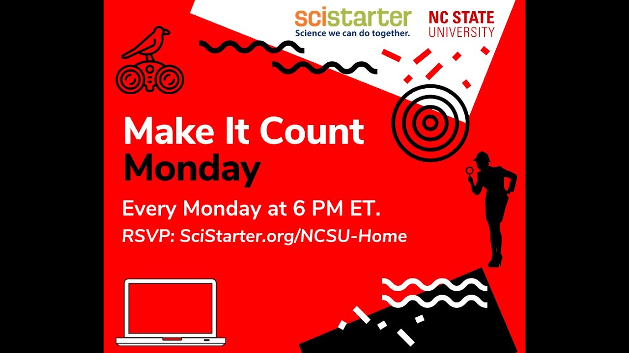 Making it Count Monday: Wolfpack Citizen Science's Stall Catchers episode - YouTube