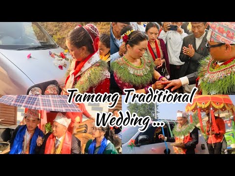 Tamang Traditional Wedding Video 2024 | Tej Theeng weds Archana Ghalan ...