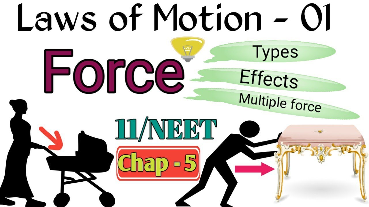 Law Of Motion -01|Class 11 Chapter 5 |Force | Types|Effect Of Force ...