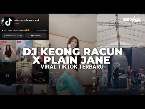 DJ KEONG RACUN X PLAIN JANE | VIRAL TIKTOK TERBARU 2026
