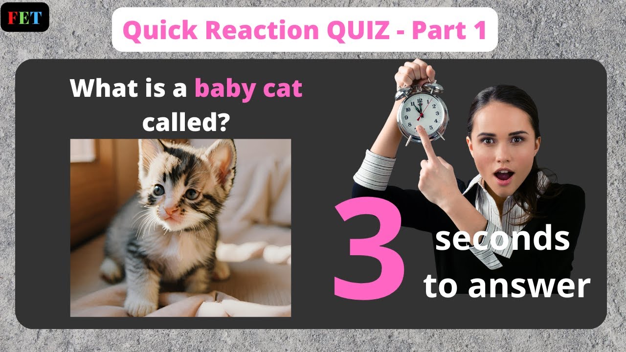 Quick Reaction QUIZ Challenge - Part 1- Are you fast enough to answer ...