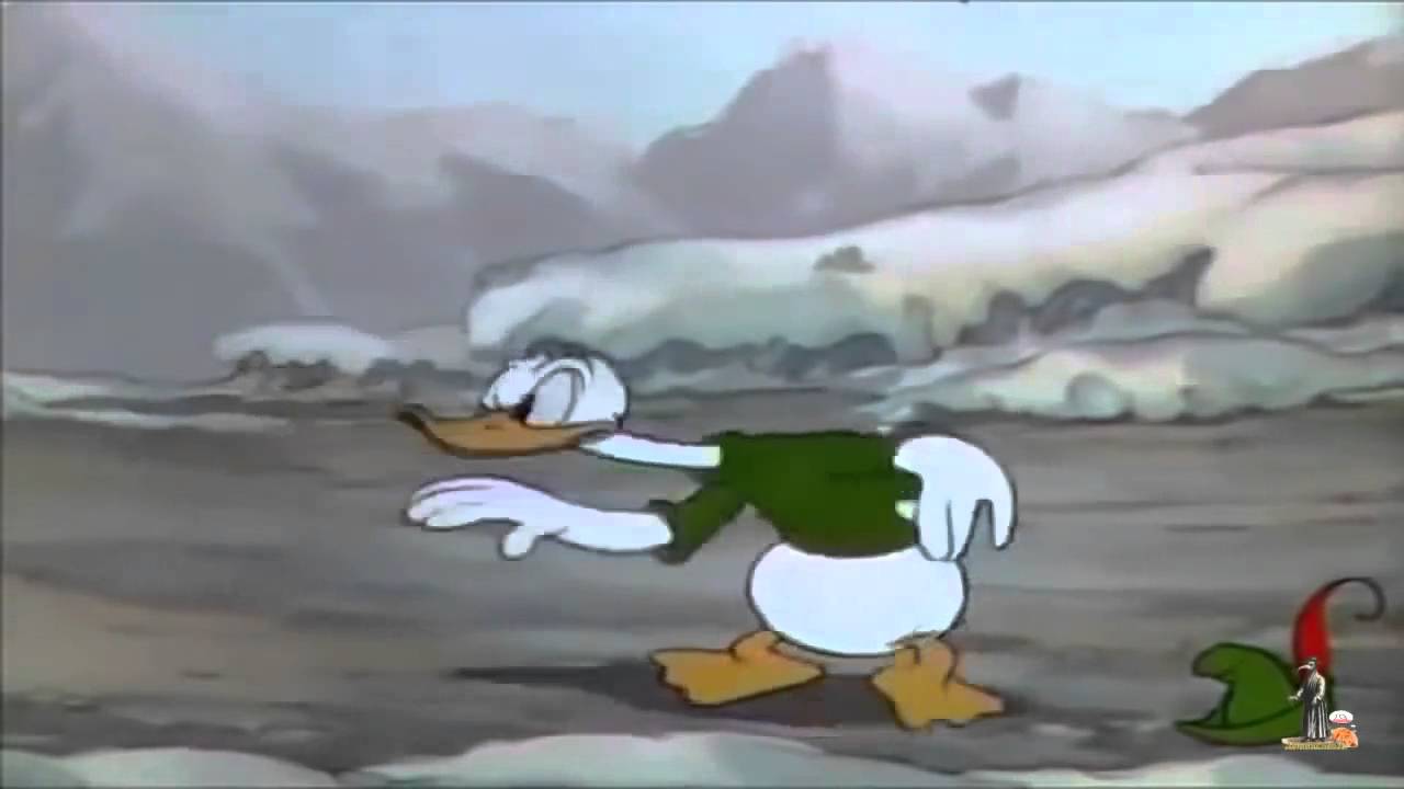 Donald Duck haris - YouTube