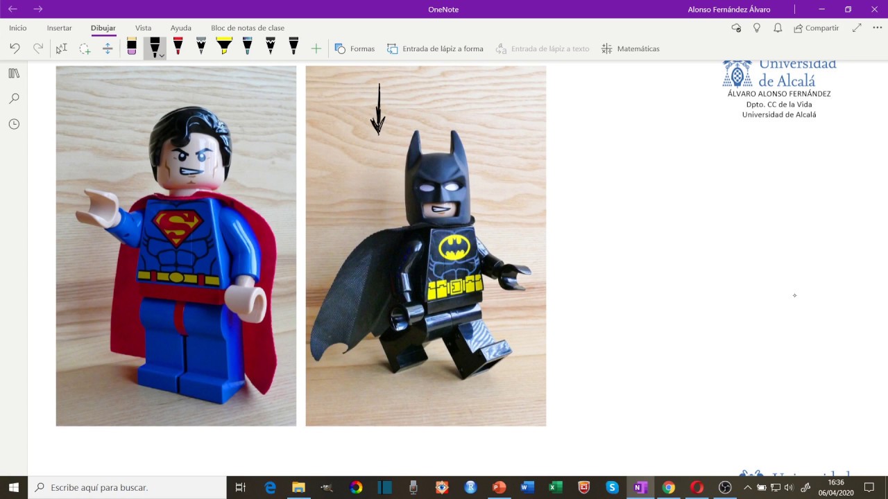 Ecología: Competencia Interespecífica. Parte 1 de 2 - YouTube