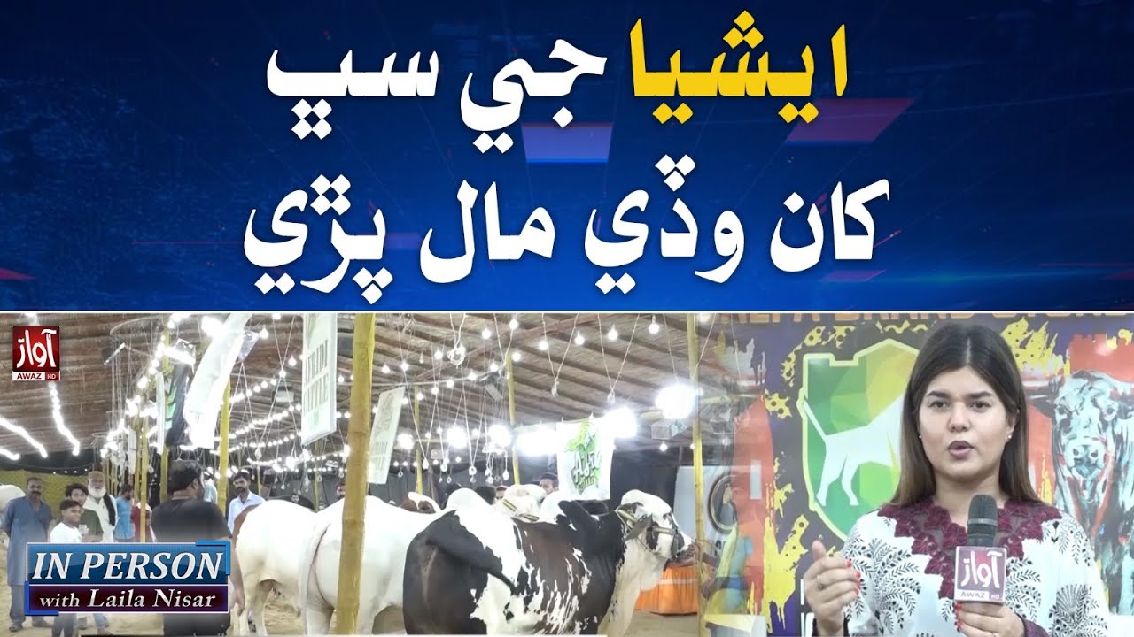 The Biggest Cow Mandi in Asia l IN Person With Laila Nisar l Awaz TV ...