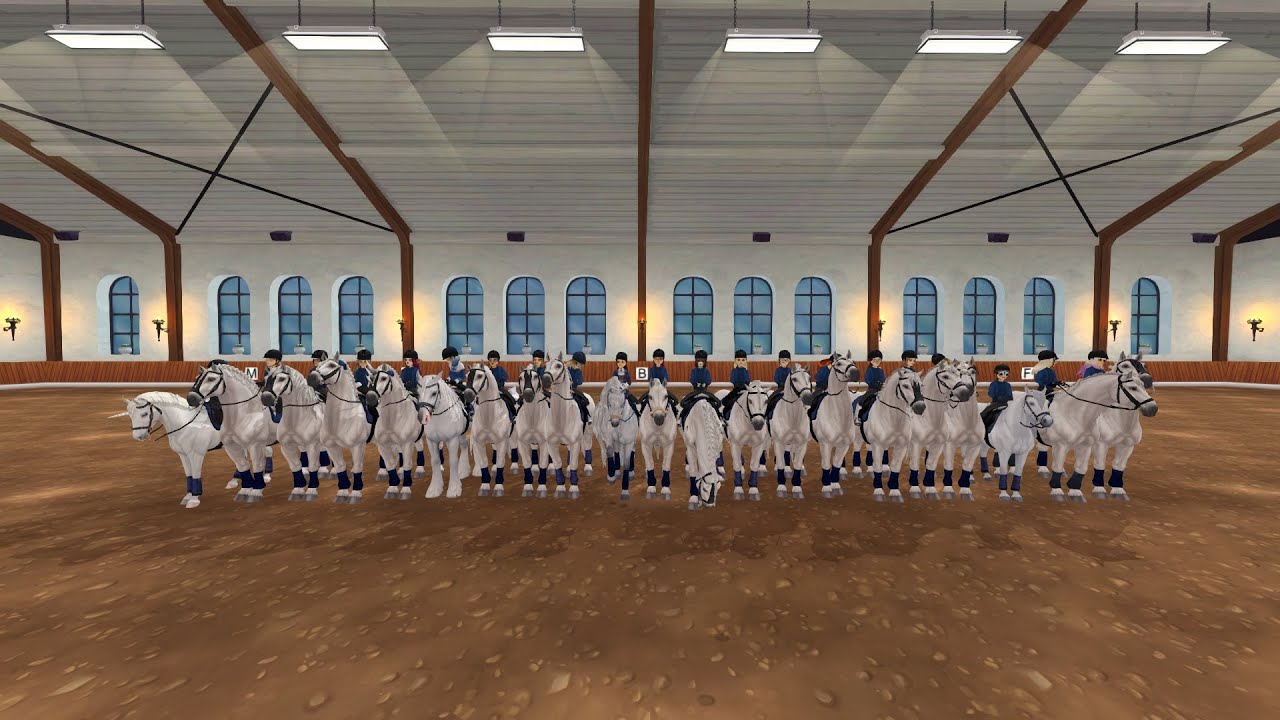 Special Dressur Clubtreffen ♥ Riding Riders | SSO - SERVER 12 🔴LIVE ...