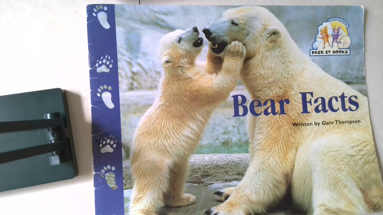 Kindergarten Guided reading lesson of Bear Facts - YouTube