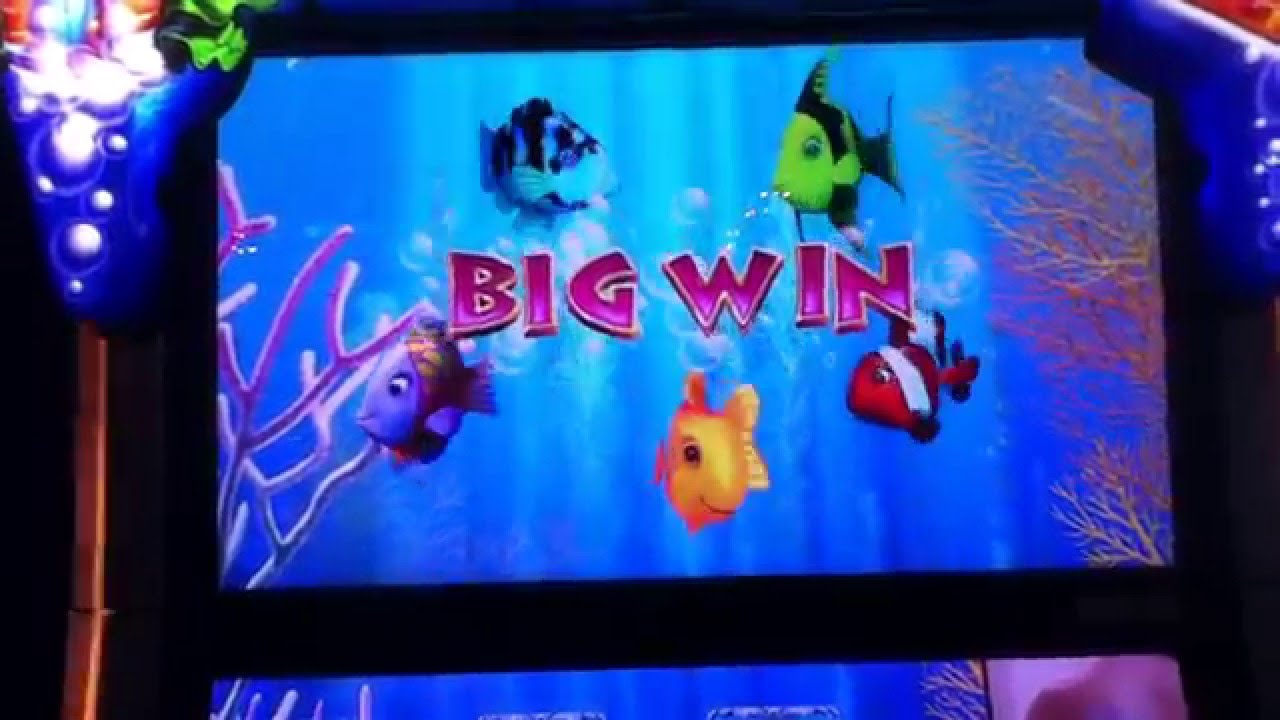 GOLD FISH Penny Video Slot Machine with a "BIG WIN" BLUE FISH BONUS Las ...
