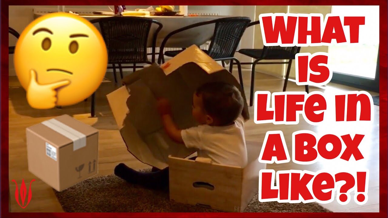 Life in a box! (How to liberate?) - YouTube