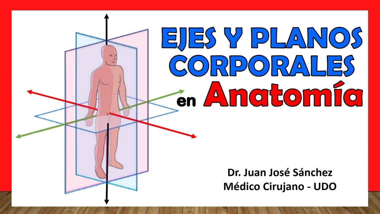 Anatomía Del Eje Vertical