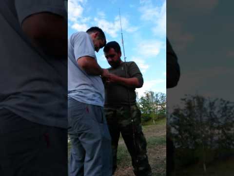 Balix ovu, Zaqatala, Kamandar.