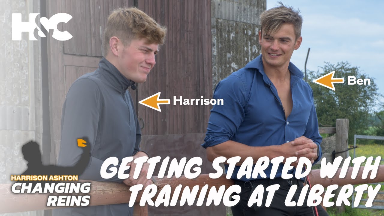 Training with a team of horses at liberty | Harrison Ashton: Changing ...