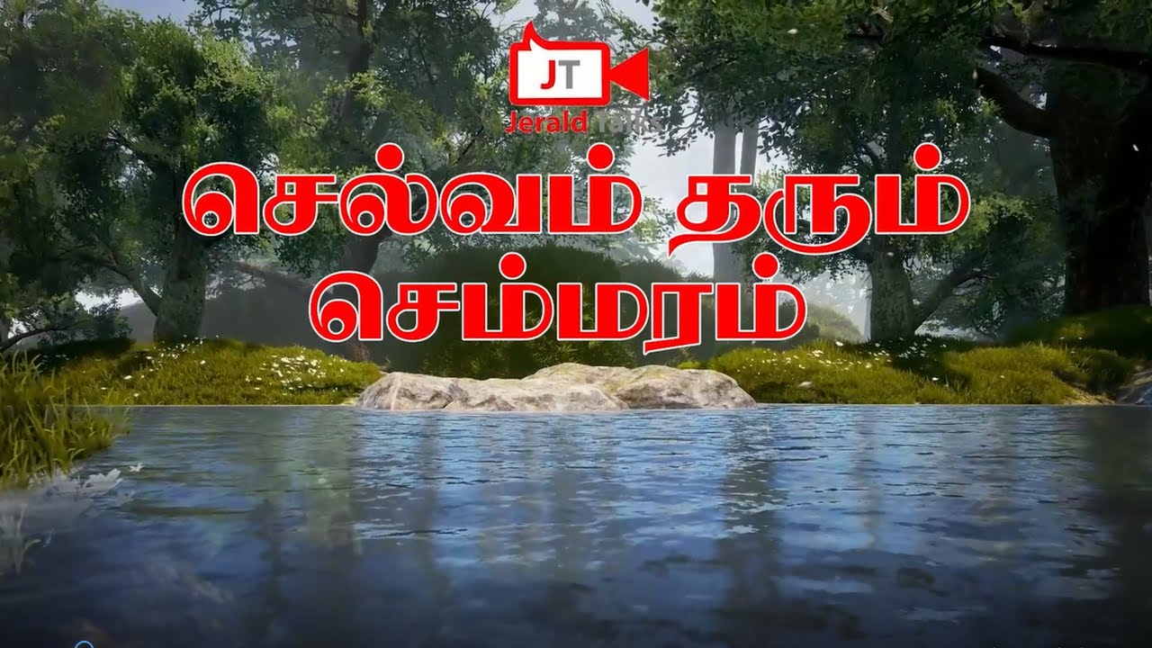 செம்மரம் வளர்ப்பு மற்றும் அதன் பயன்களும்? | Red Sandal | Semmaram ...