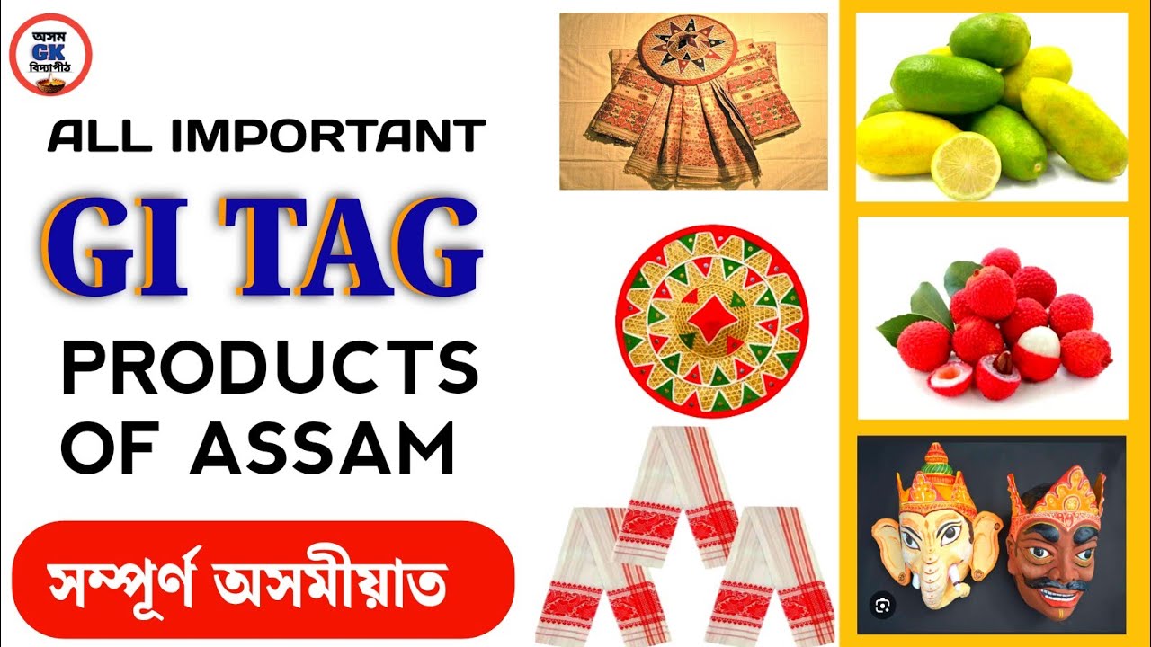 All GI TAG From Assam || জি আই টেগ লাভ কৰা অসমৰ সামগ্ৰীসমূহ 🔥||# ...