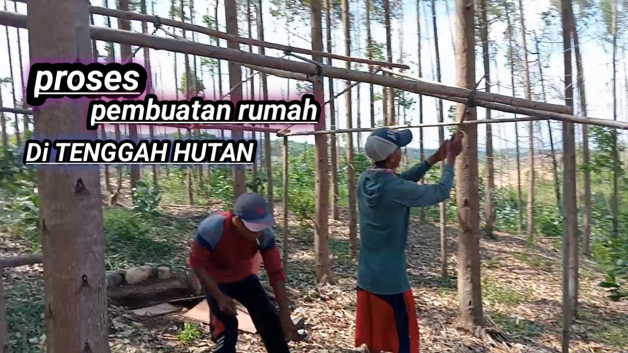 Vlog||proses pembuatan rumah di tengah hutan||cara membuat rumah di hutan||tutorial||IDE KREATIF ...