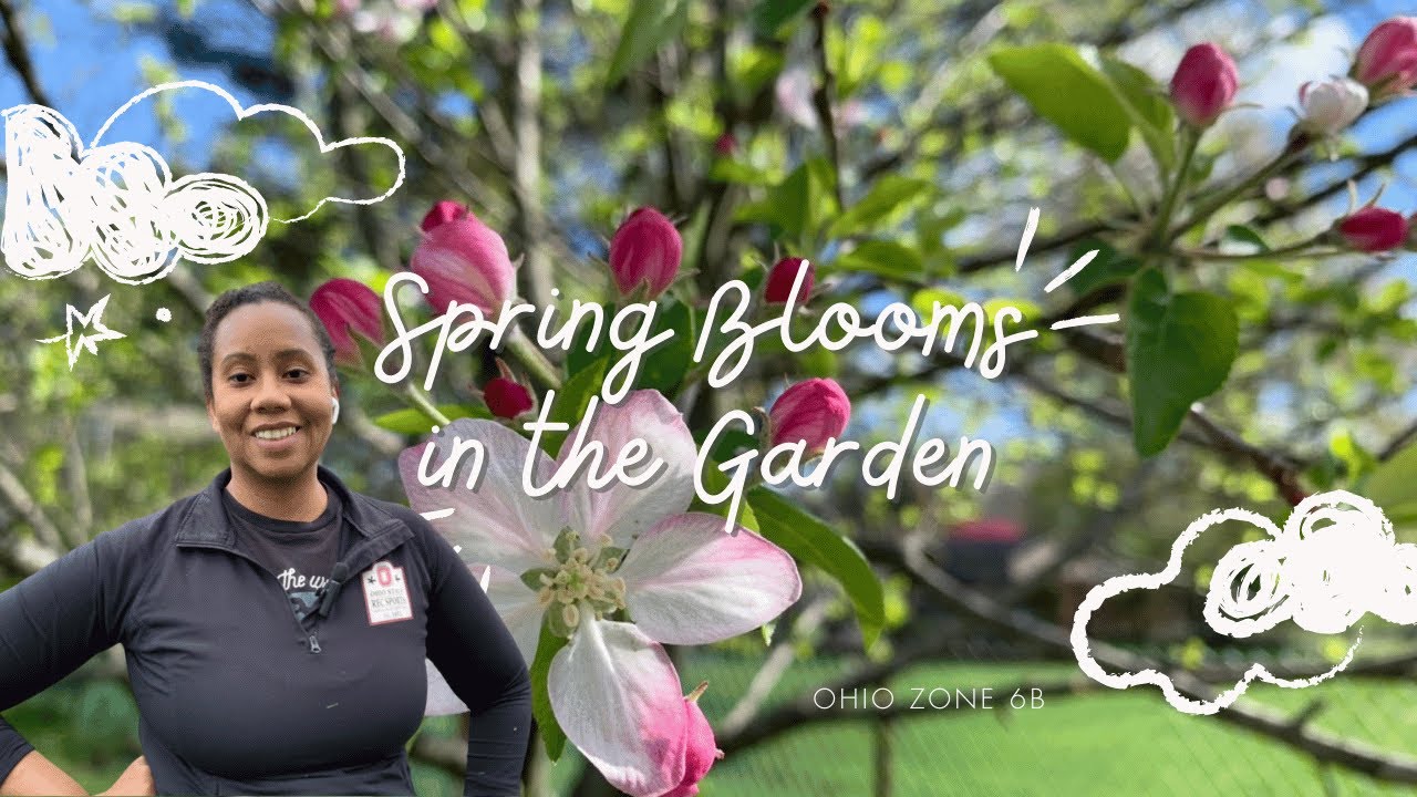 April Garden Tour 2024 | What's growing in the garden in spring? | Ohio ...