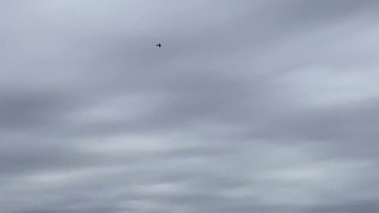 Midwest Extra 300S landing - YouTube