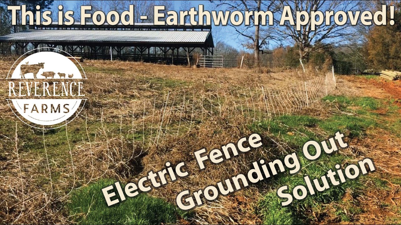 Solution; Mesh Electric Fence Grounding Out - YouTube