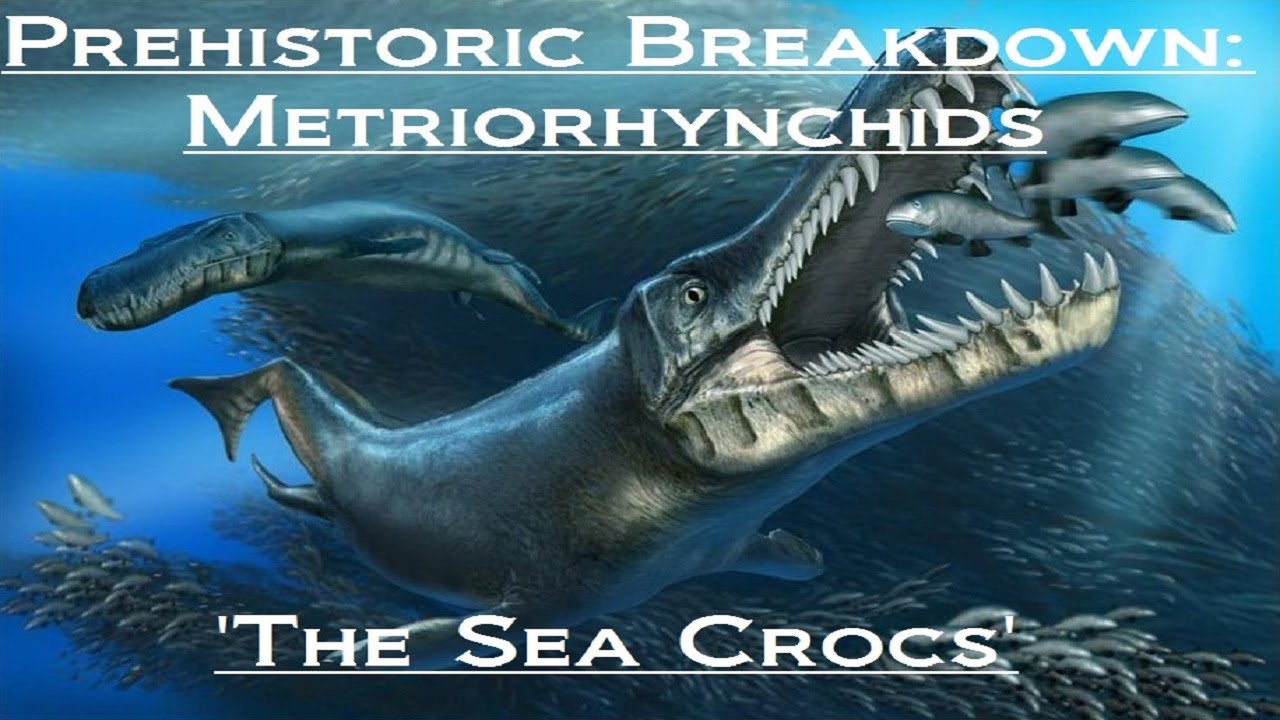 Prehistoric Breakdown: Metriorhynchids - YouTube