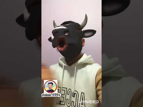 dale vine (buka gelli)
