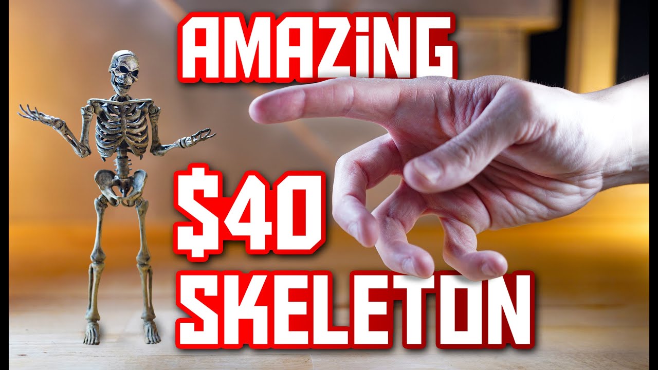 This new Skeleton Figure is incredible! and Only $40?? - Shooting ...