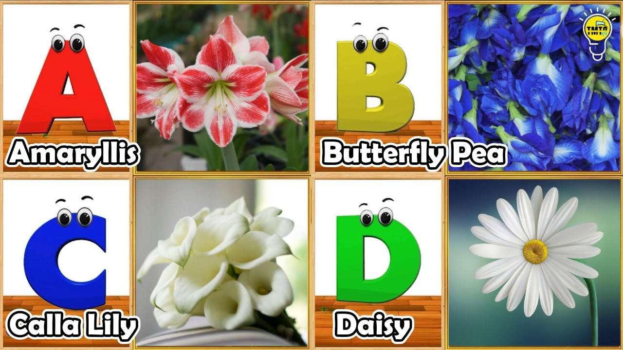 Flowers Alphabet Song | Flowers ABC Song | A to Z Flowers Names ...