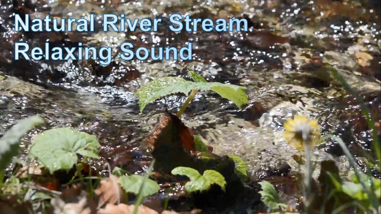 Natural River Sound Effect with Music - YouTube