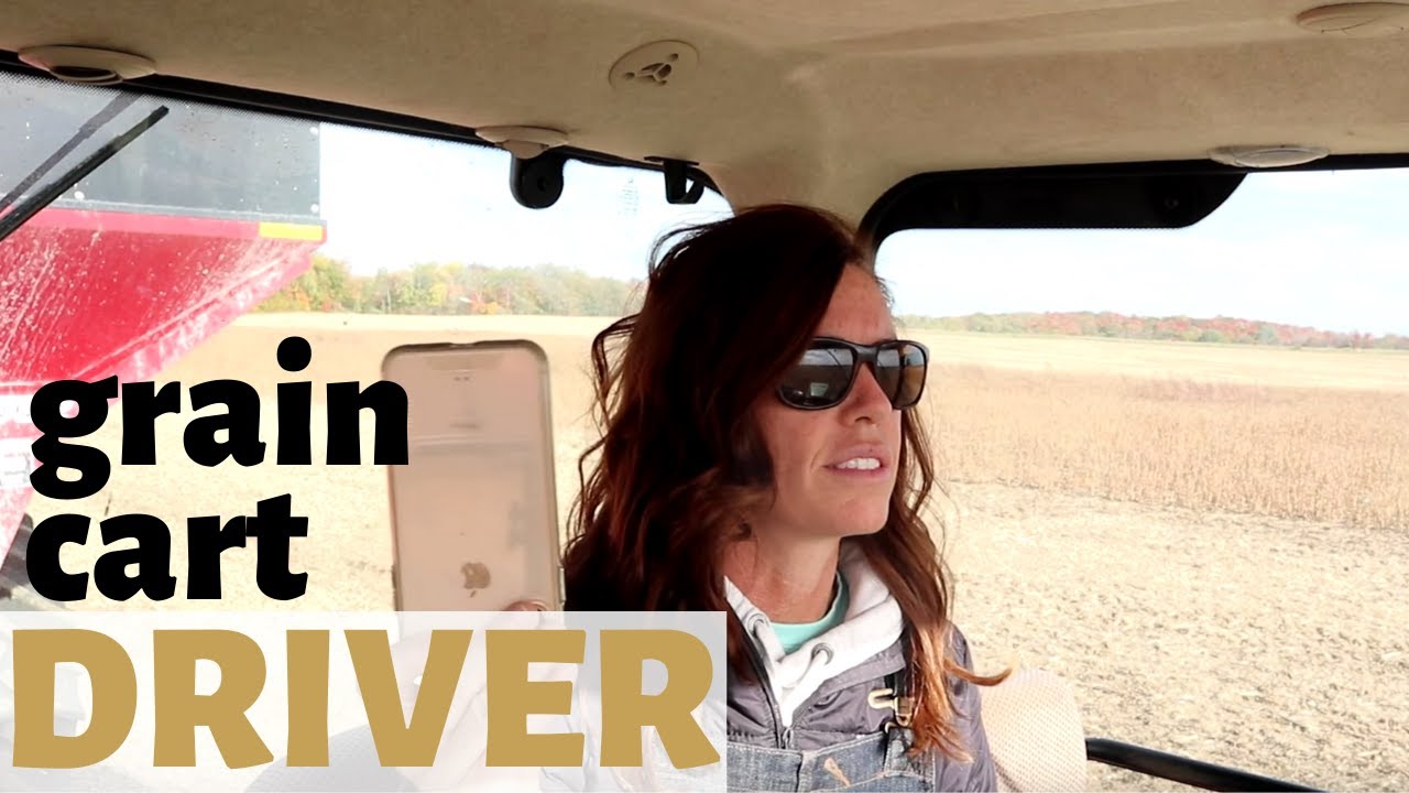 A Day in the Life of a Grain Cart Operator (Soybean Harvest 2019): VLOG ...
