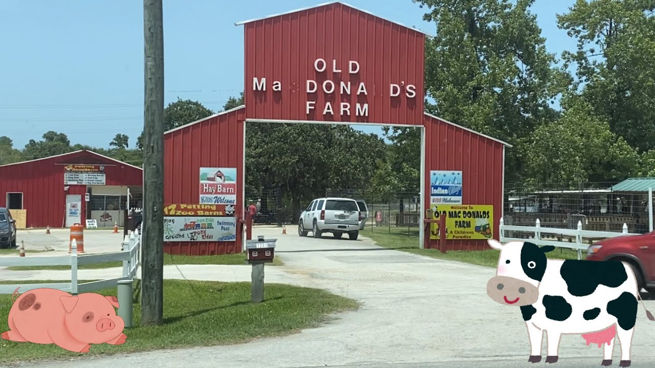Our first trip to Old MacDonald’s Farm (2021) - YouTube
