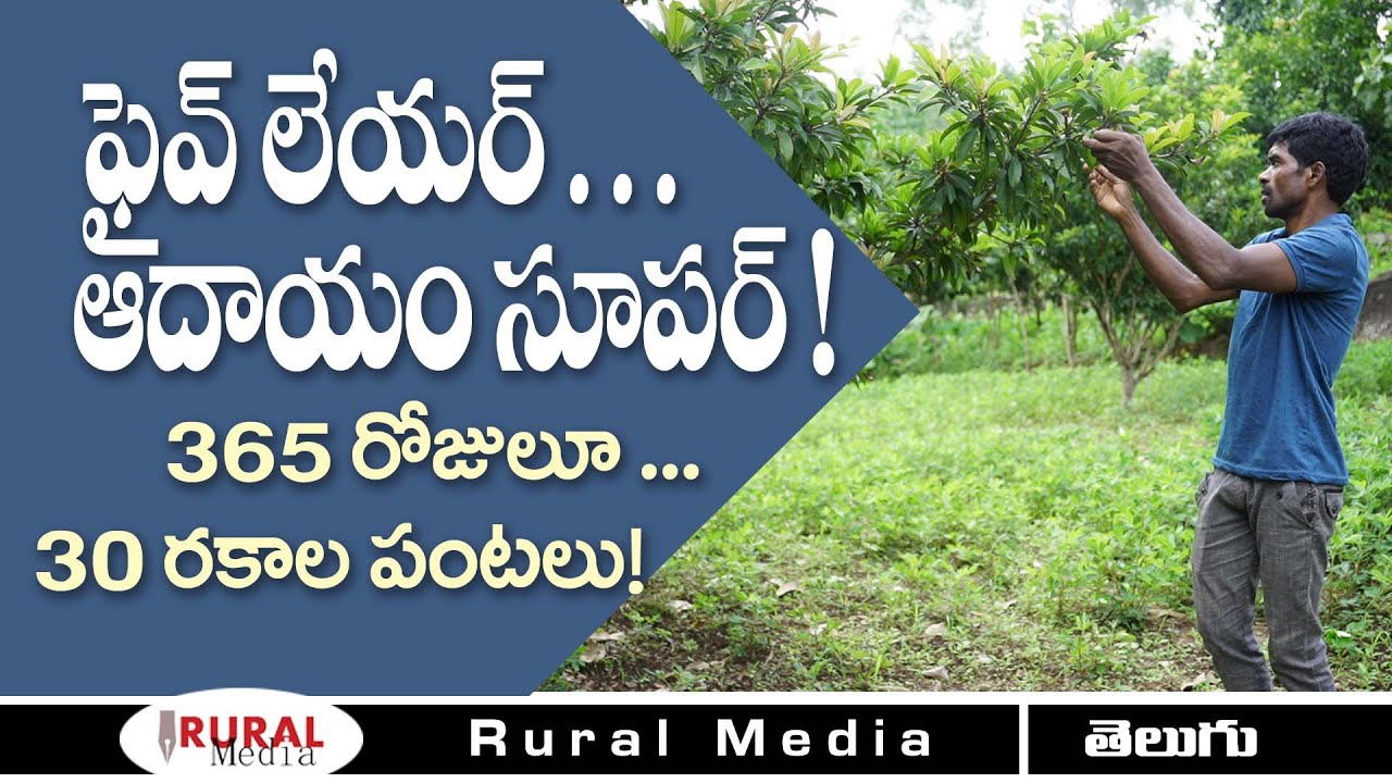 What is 5 Layer Farming? | How to Start 5 Layer Farming | Natural ...