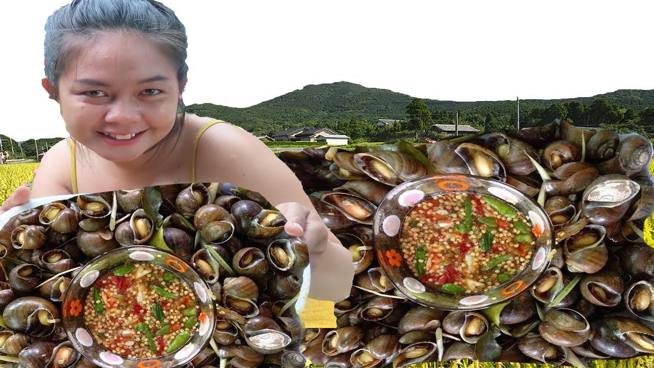 Eating boil snail with chili salt, looking spicy and delicious ...