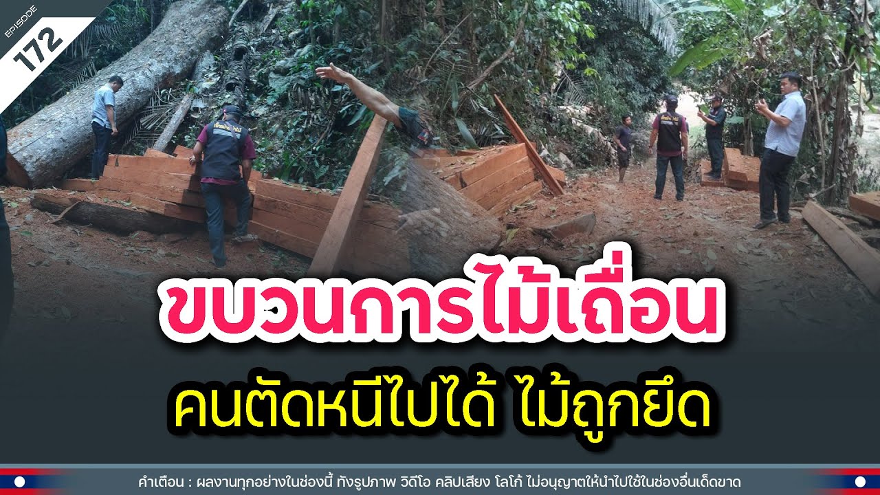 ขบวนการไม้เถื่อน คนตัดหนีไปได้ ไม้ถูกยึด | Time to share | EP.172 - YouTube