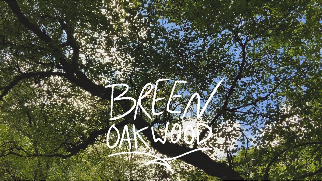 Breen Oakwood ~ Ancient Oakwood Nature Reserve, Armoy, Northern Ireland ...