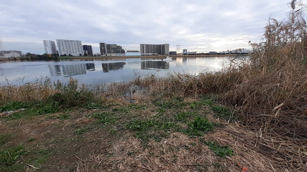 Let's explore the Tama River - YouTube