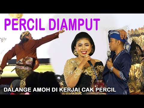 PERCIL CS TERBAU 2022 LUCUNE RA BETAH