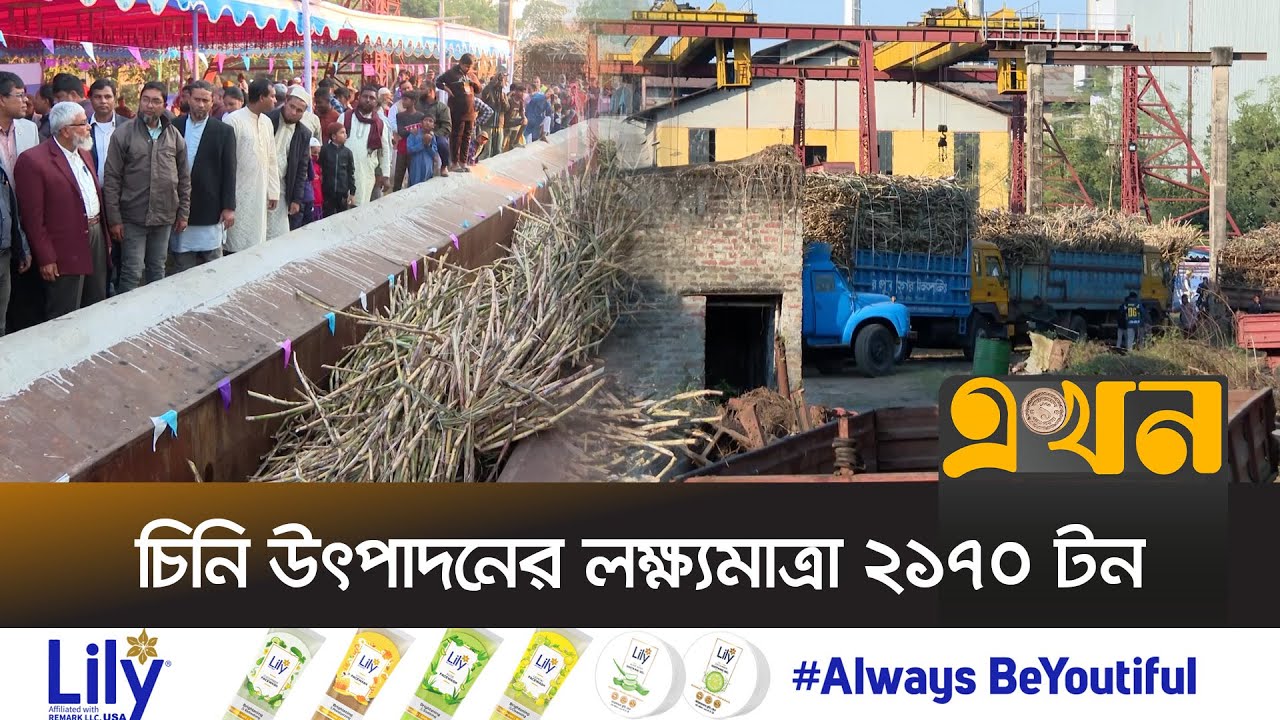জয়পুরহাট চিনিকলে আখ মাড়াই মৌসুম শুরু | Sugar Mill | Joypurhat | Ekhon ...