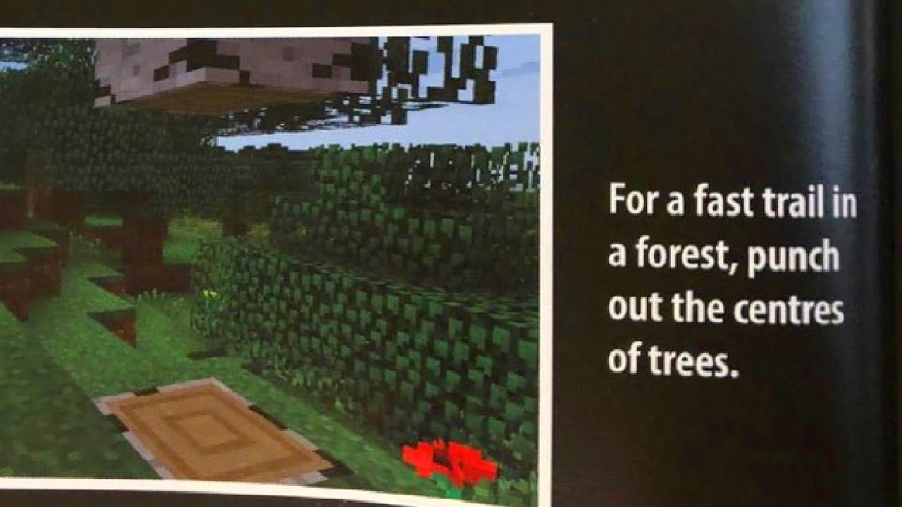 Cursed Minecraft Hacks... - YouTube