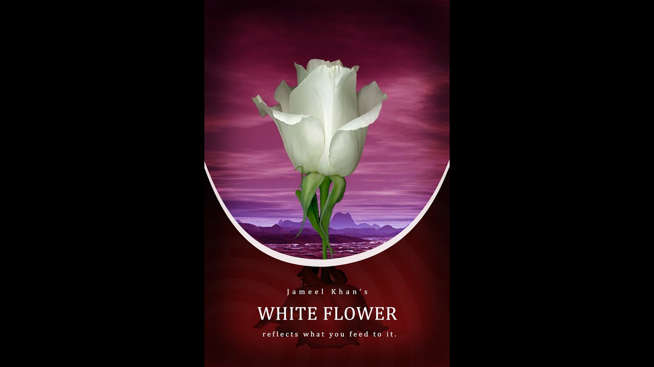 It reflects what you feed to it - WHITE FLOWER- Film screenplay. - YouTube
