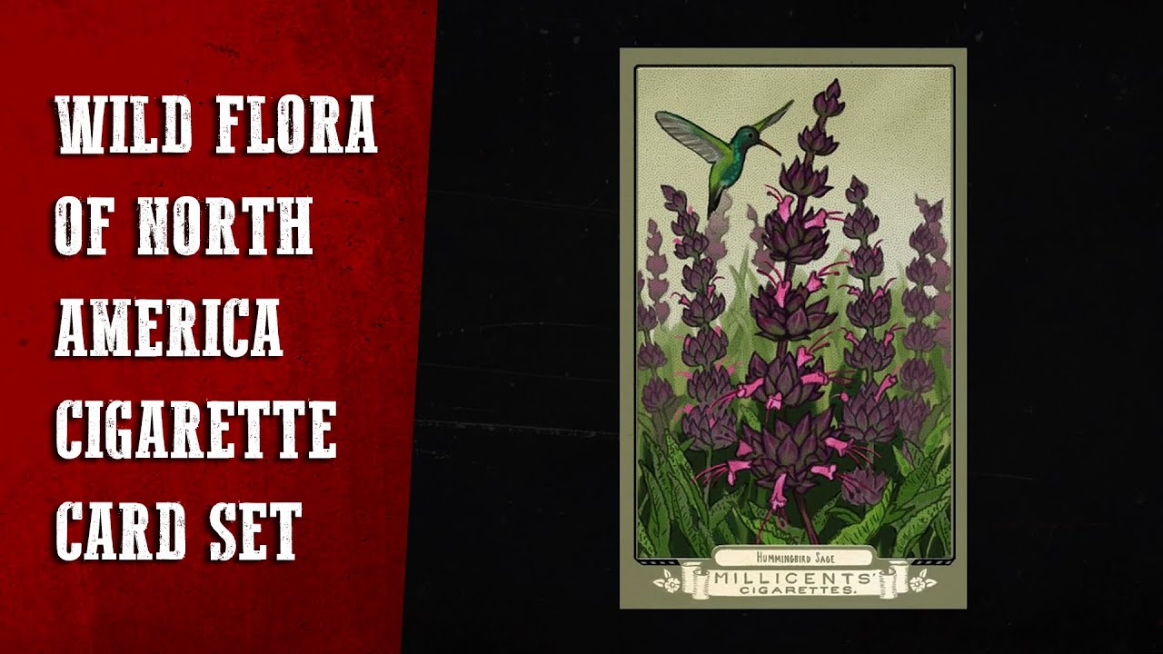 Wild Flora Of North America Cigarette Card Set Location Guide RDR2 ...