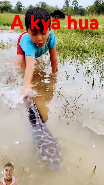 Yah kya hua #fishing #fish #mukbang #shorts #video #viral video - YouTube