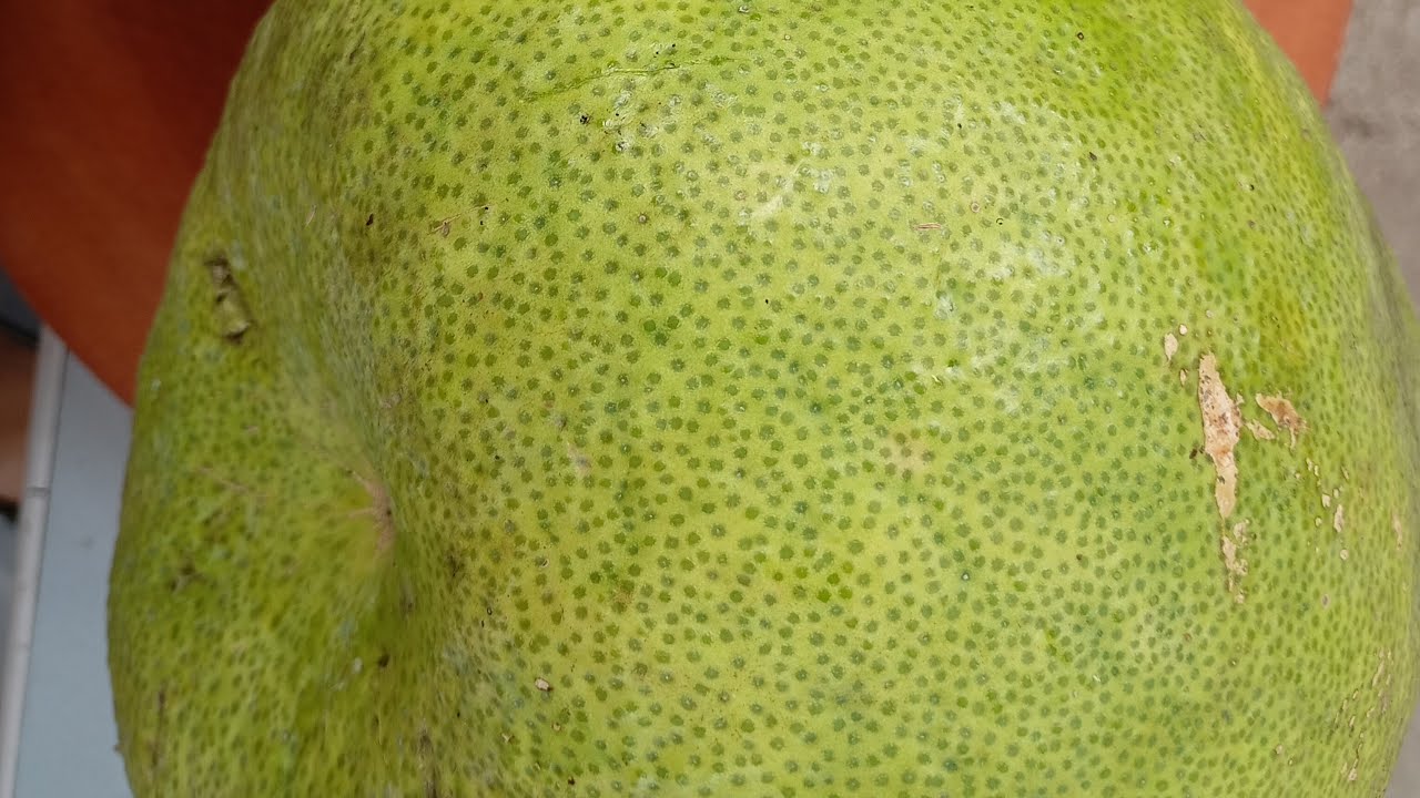 Peeling of two Giant Pomelo - YouTube